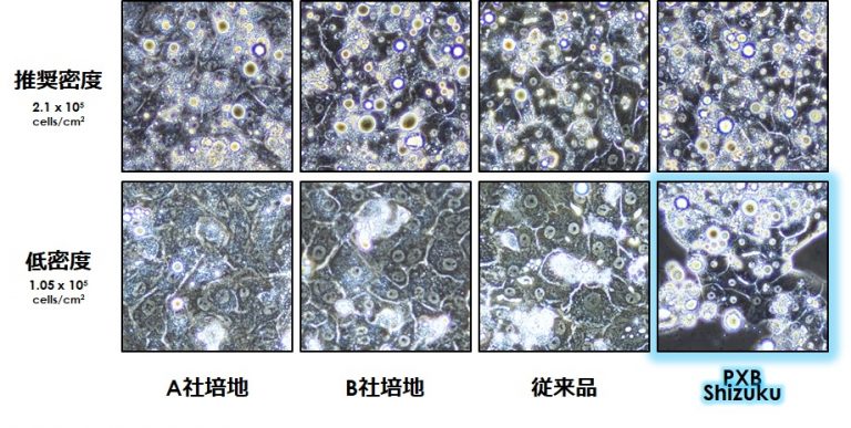 PXB-Shizuku | 株式会社フェニックスバイオ