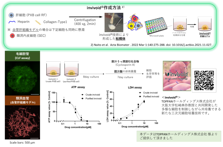 PXB-cells RF | 株式会社フェニックスバイオ